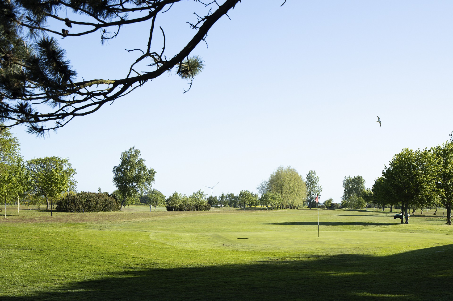 Bedinge Golfklubb | Sveriges sørligste golfbane | NordicGolfers